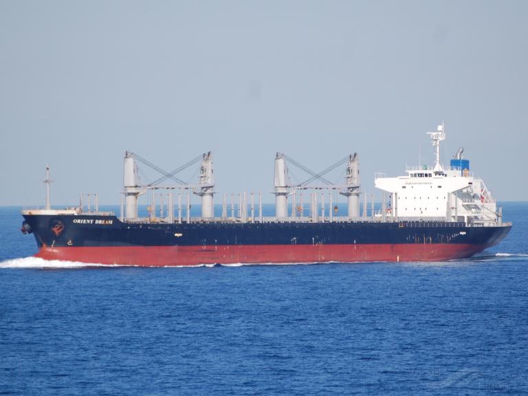 NAVI MOON, Bulk Carrier - Details and current position - IMO 9385154 ...