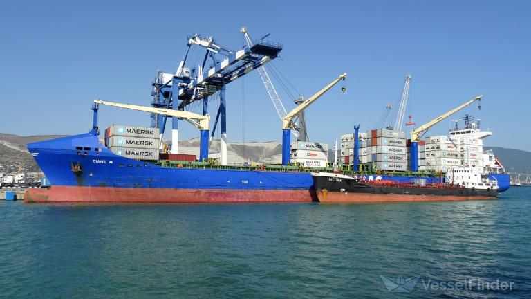 DIANE A, Container Ship - Details and current position - IMO 9385532 ...