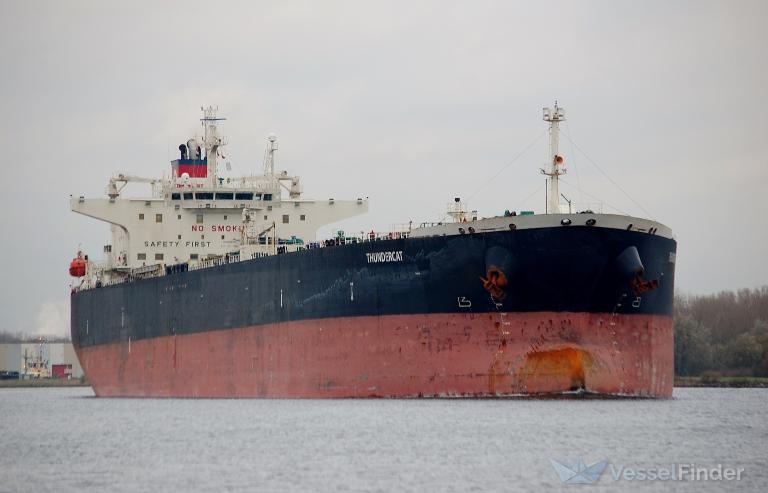 SAVIR TIGER, Crude Oil Tanker - Details and current position - IMO ...
