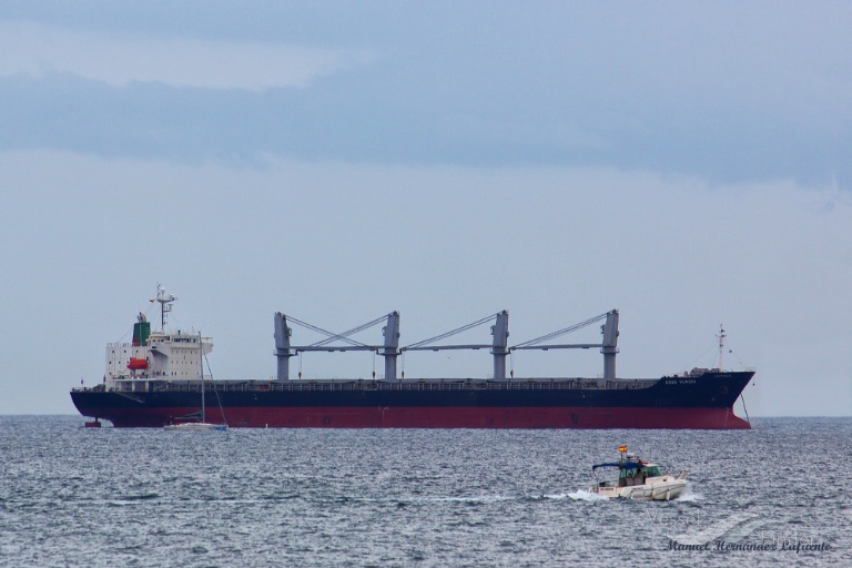 SSI MAGNIFICENT, General Cargo Ship - Details and current position ...