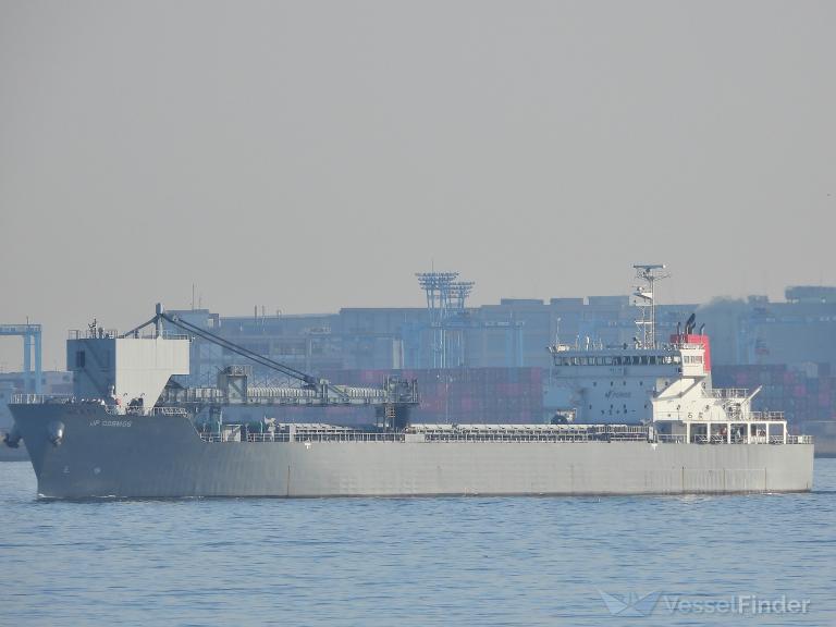JP COSMOS, Self Discharging Bulk Carrier - Detalles del buque y ...