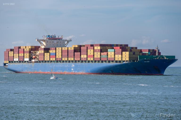 MSC RIDA, Container Ship - Details and current position - IMO 9393307 ...