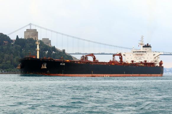 CLIO, Crude Oil Tanker - Details and current position - IMO 9396660 ...