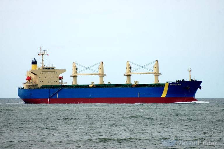 ANNI SELMER, Bulk Carrier - Details and current position - IMO 9397860 ...