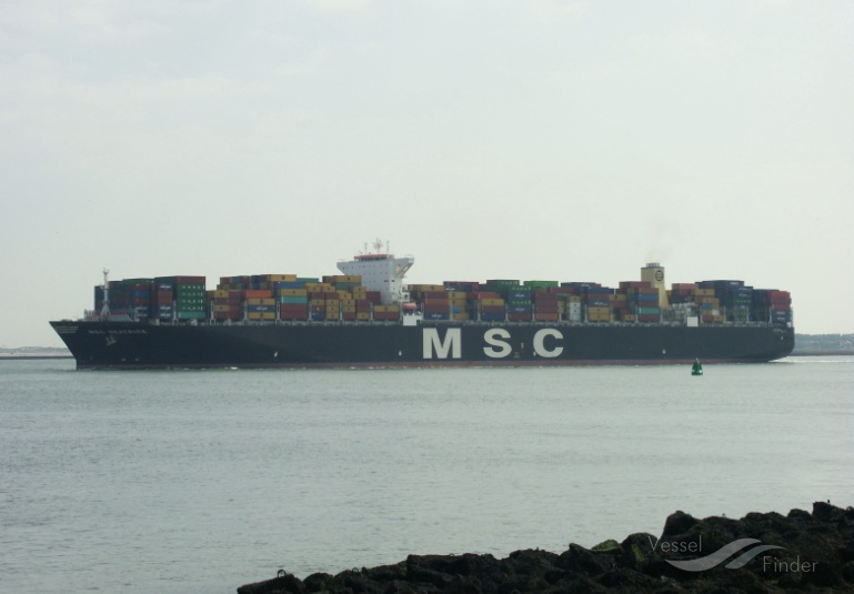 MSC BEATRICE, Container Ship - Details and current position - IMO ...