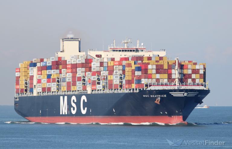 MSC BEATRICE, Container Ship - Details and current position - IMO ...