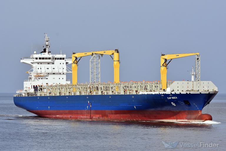 SONGA PUMA, Container Ship - Details and current position - IMO 9399789 ...