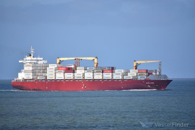 SONGA PUMA, Container Ship - Details and current position - IMO 9399789 ...