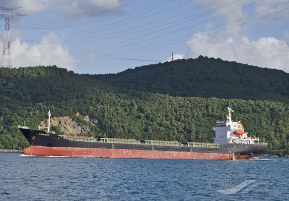 THOE, Bulk Carrier - Details and current position - IMO 9400588 ...