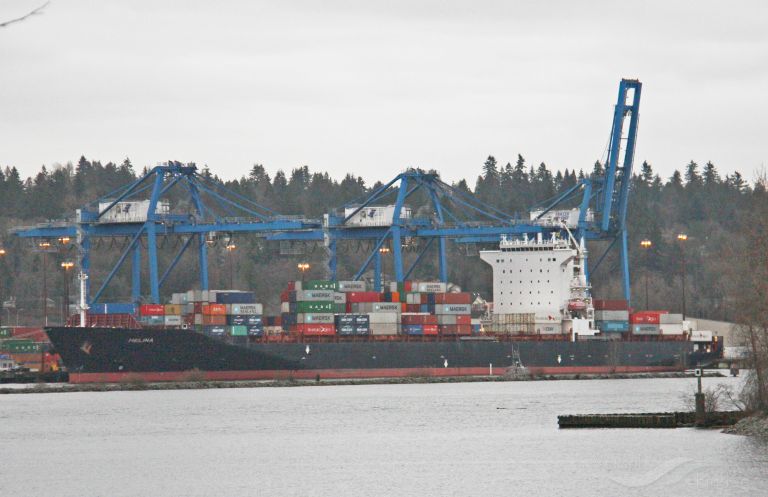 MELINA, Container Ship - Details and current position - IMO 9401075 ...