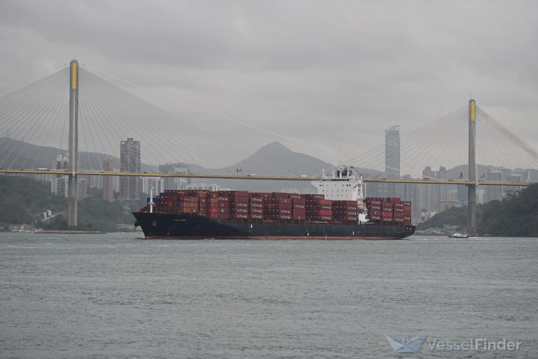 MELINA, Container Ship - Details and current position - IMO 9401075 ...