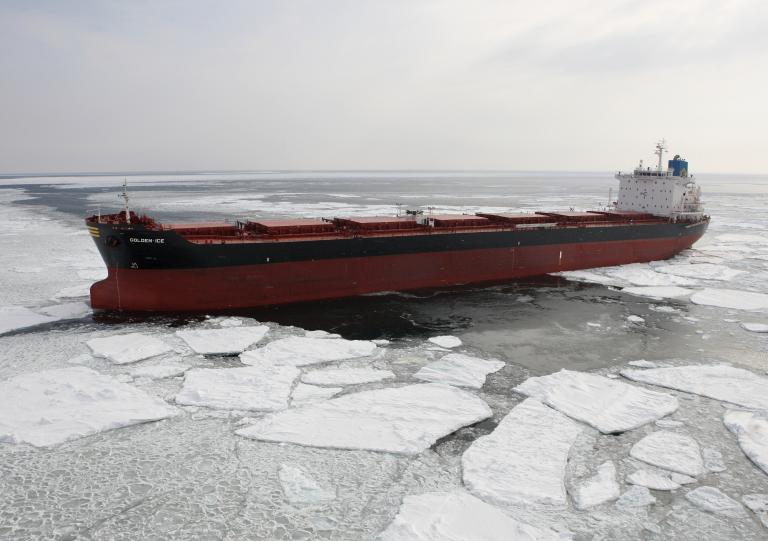 ICE II, Bulk Carrier - Details and current position - IMO 9401362 ...