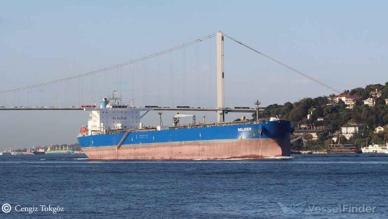 SELIGER, Crude Oil Tanker - Details and current position - IMO 9402263 ...