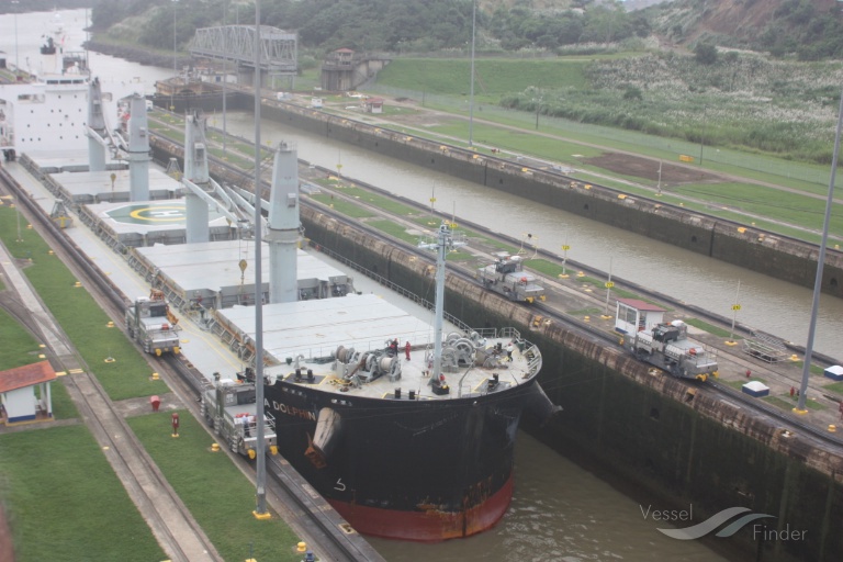 DENSA DOLPHIN, Bulk Carrier - Details and current position - IMO 9403190 - VesselFinder