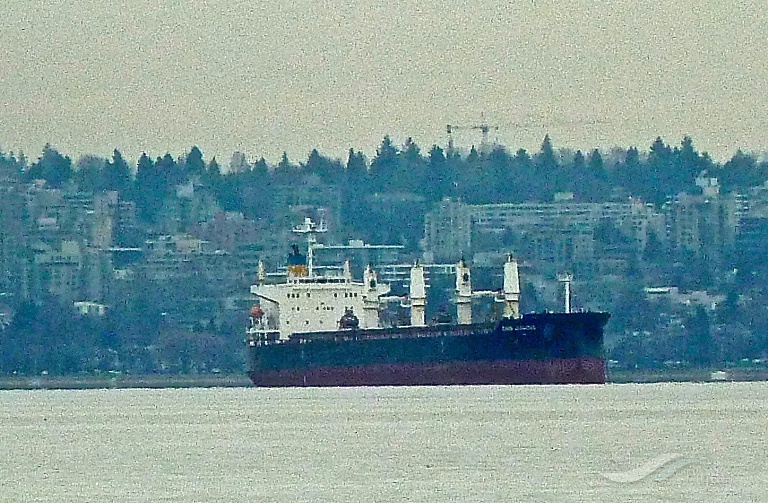 JADE, Bulk Carrier - Detalles del buque y posición actual - IMO 9405019 ...