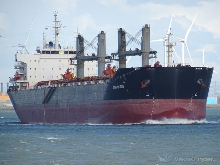 LEO HONOR, Bulk Carrier - Details and current position - IMO 9408255 ...