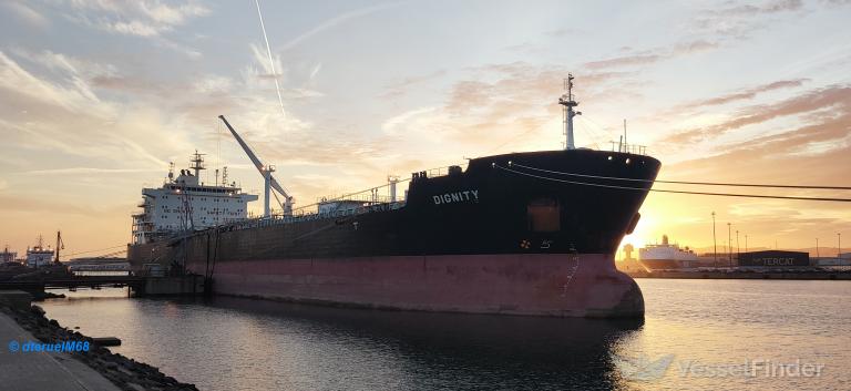 DIGNITY, Chemical/Oil Products Tanker - Details and current position ...