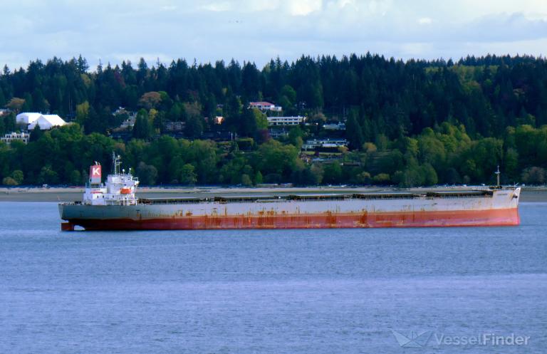 COSTANZA, Bulk Carrier - Details and current position - IMO 9414929 ...