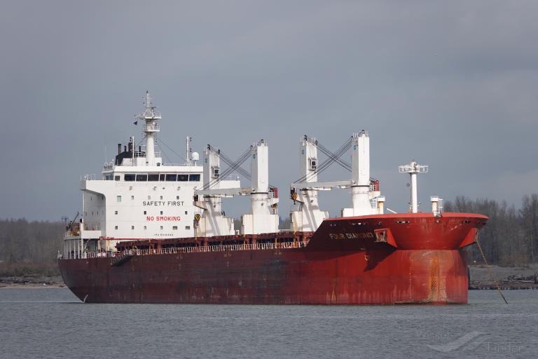 DEMA, Bulk Carrier - Schiffsdaten und aktuelle Position - IMO 9416446 ...