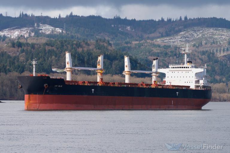 IVY BLUE, Bulk Carrier - Details and current position - IMO 9419943 ...