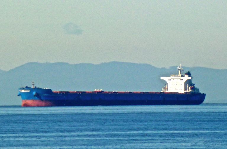 ANTONIS ANGELICOUSIS, Bulk Carrier - Details and current position - IMO ...