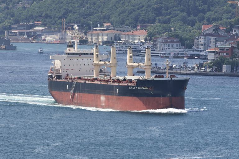 OCEAN FREEDOM, Bulk Carrier - Scheepsdetails en huidige positie - IMO ...