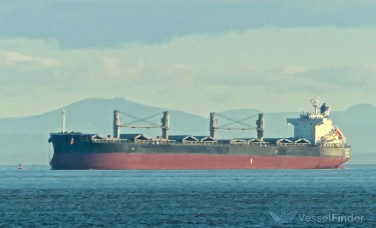 ETERNITY SW, Bulk Carrier - Details and current position - IMO 9425851 ...