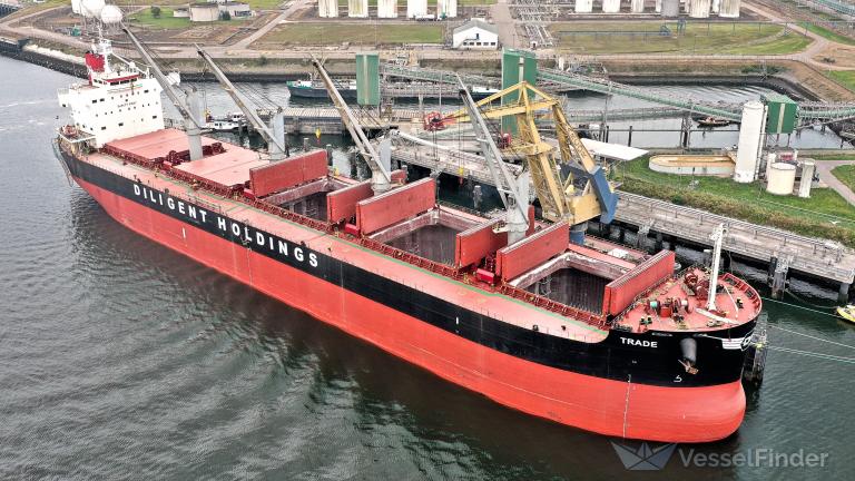 TRADE, Bulk Carrier - Details and current position - IMO 9425942 ...