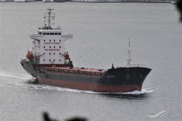 CELIK 1, General Cargo Ship - Details and current position - IMO ...
