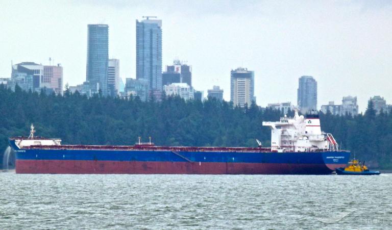 MARAN TRANSPORTER, Bulk Carrier - Details and current position - IMO ...