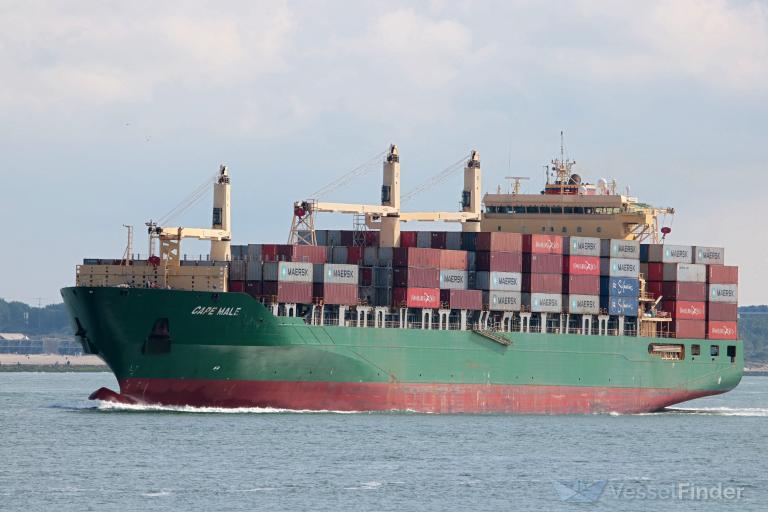 CAPE MALE, Container Ship - Details and current position - IMO 9440150 ...