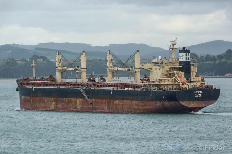 BITTERN, Bulk Carrier - Details and current position - IMO 9441269 ...