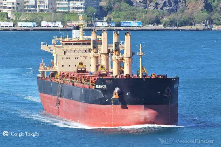 IBIS BULKER, Bulk Carrier - Details and current position - IMO 9441324 ...