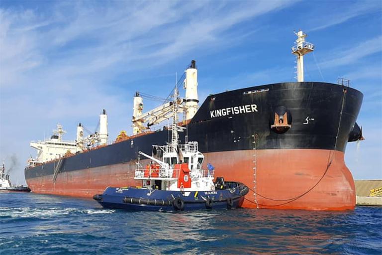 KINGFISHER, Bulk Carrier - Details and current position - IMO 9441348 ...