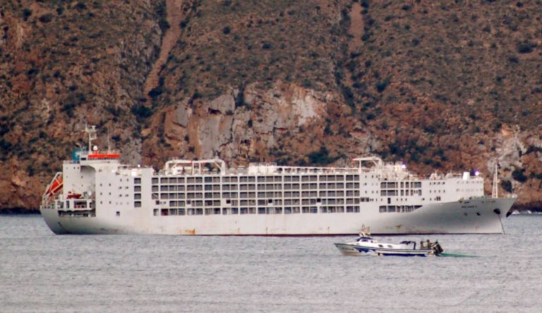 POLARIS 3, Container Ship - Schiffsdaten und aktuelle Position - IMO ...