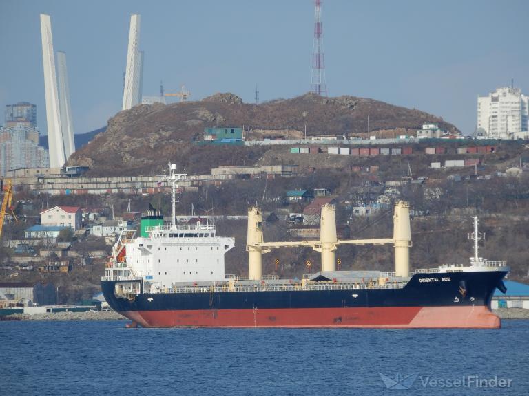 ORIENTAL ACE, Bulk Carrier - Details and current position - IMO 9443114 - VesselFinder