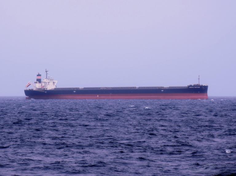 NORTH FORTUNE, Bulk Carrier - Details and current position - IMO ...