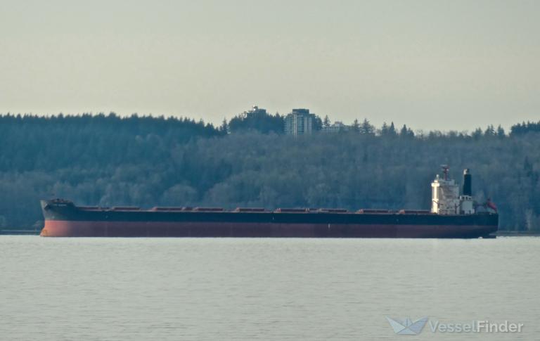 CAPE BUZZARD, Bulk Carrier - Details and current position - IMO 9446623 ...
