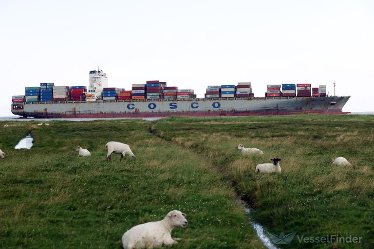 COSCO JAPAN, Container Ship - Details and current position - IMO ...