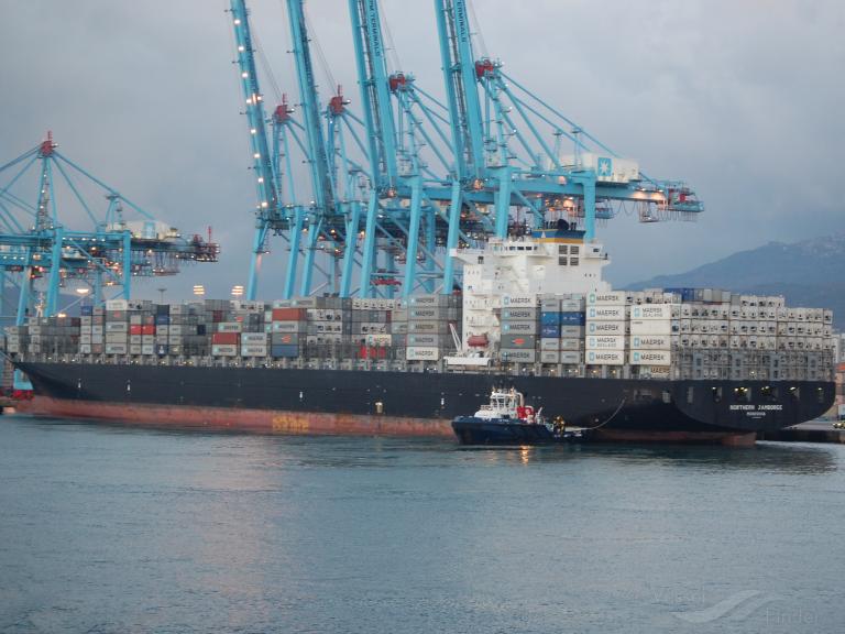 MSC JAMBOREE IX, Container Ship - Details and current position - IMO ...