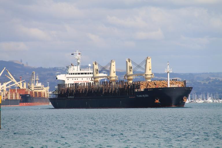 TBC PURPOSE, Bulk Carrier - Gemi detayları ve güncel harita konumu ...