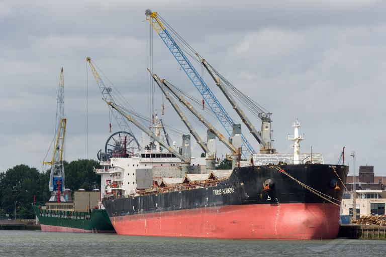 TAURUS HONOR, Bulk Carrier - Details and current position - IMO 9456135 ...