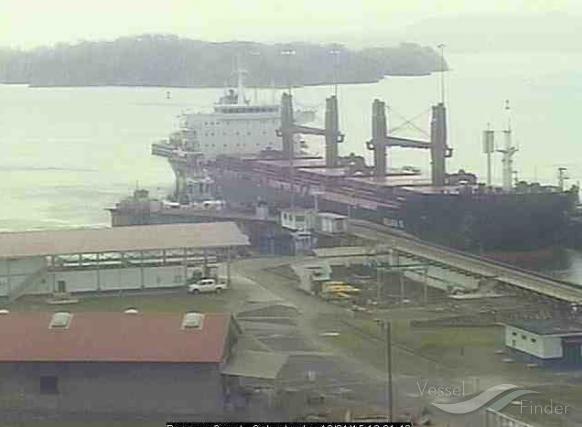 CHLOE, Bulk Carrier - Details and current position - IMO 9456173 ...