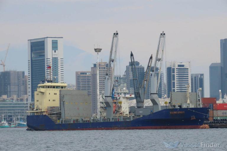 TRAWIND BRIGHT, General Cargo Ship - Details and current position - IMO ...