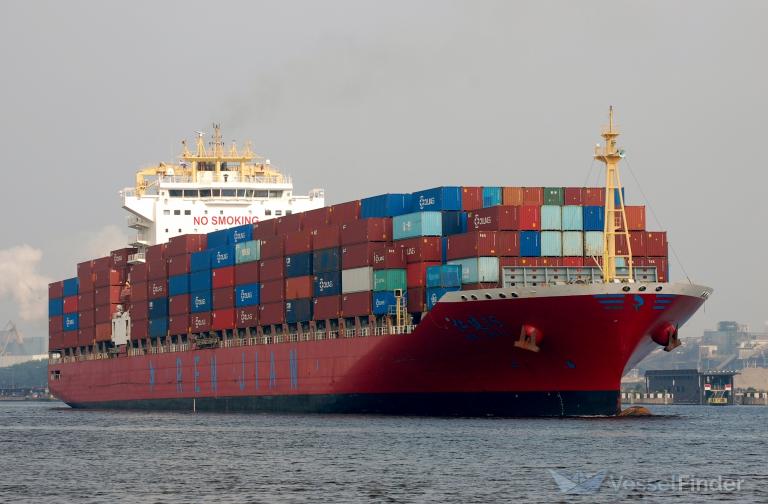 REN JIAN 15, Container Ship - Detalles del buque y posición actual ...