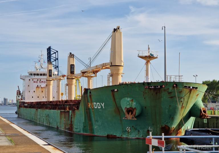 RUDDY, Bulk Carrier - Details and current position - IMO 9459981 ...