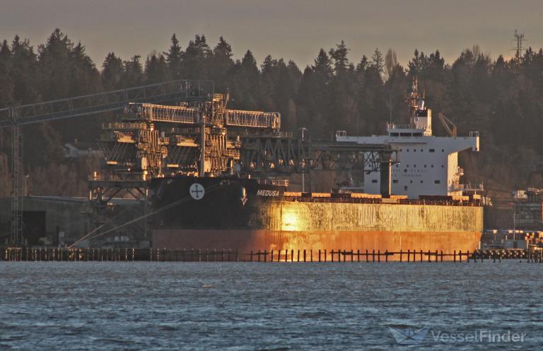 MEDUSA, Bulk Carrier - Details and current position - IMO 9461130 ...