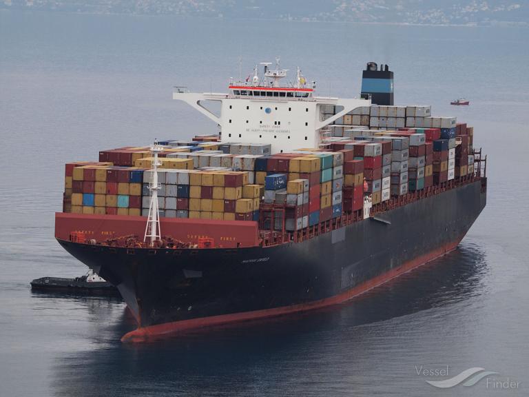 MSC EMMA, Container Ship - Schiffsdaten und aktuelle Position - IMO ...