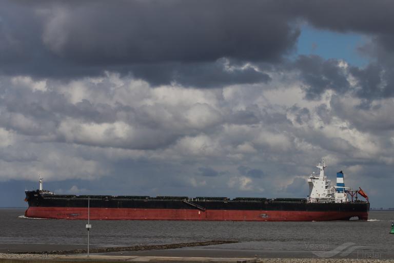 MINI, Bulk Carrier - Details and current position - IMO 9464651 ...