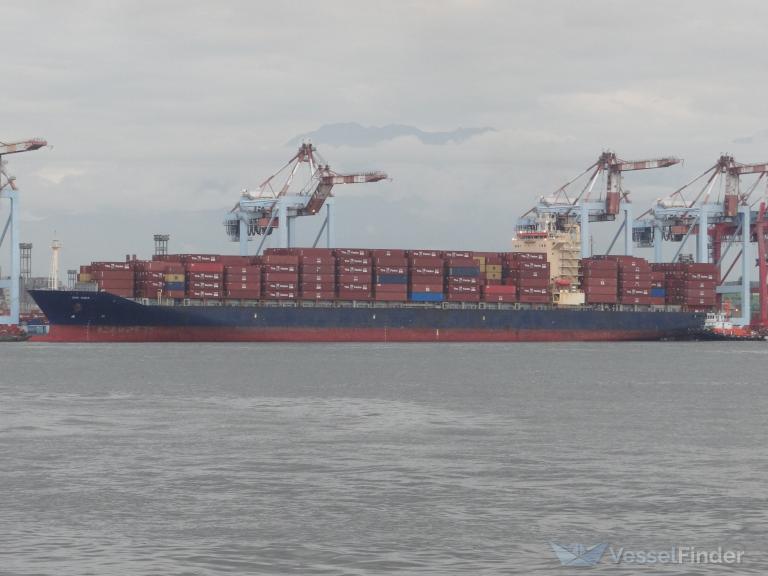 ZIM ASIA, Container Ship - Details and current position - IMO 9464716 ...